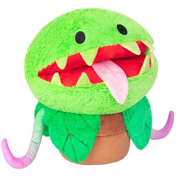 Squishable Mini Venus Fly Trap – The Great Rocky Mountain Toy Company