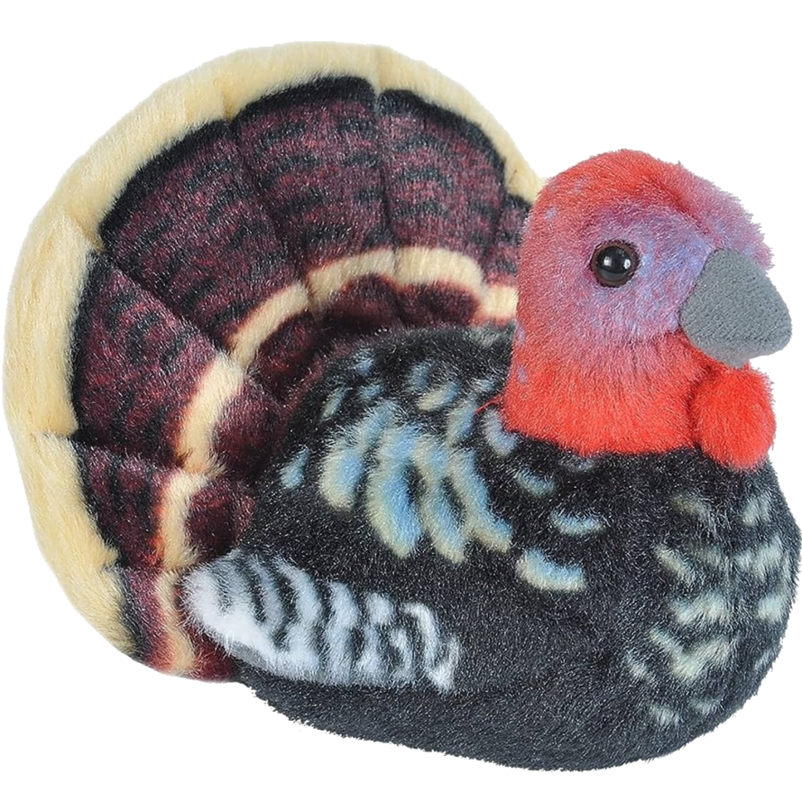 Wild Republic Audubon Wild Turkey – The Great Rocky Mountain Toy Company