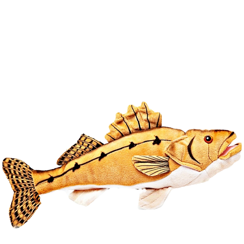 Cabin Critters Walleye 10" – The Great Rocky Mountain Toy Company