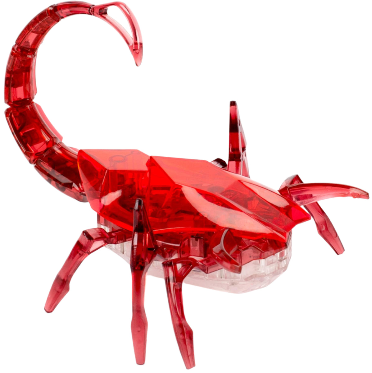 Hex Bots Scorpion (Style Varies) – The Great Rocky Mountain Toy Company