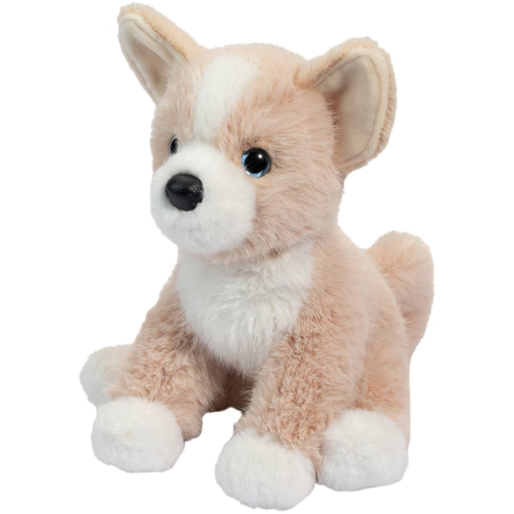 Douglas Pookie Pomsky Mini Soft – The Great Rocky Mountain Toy Company